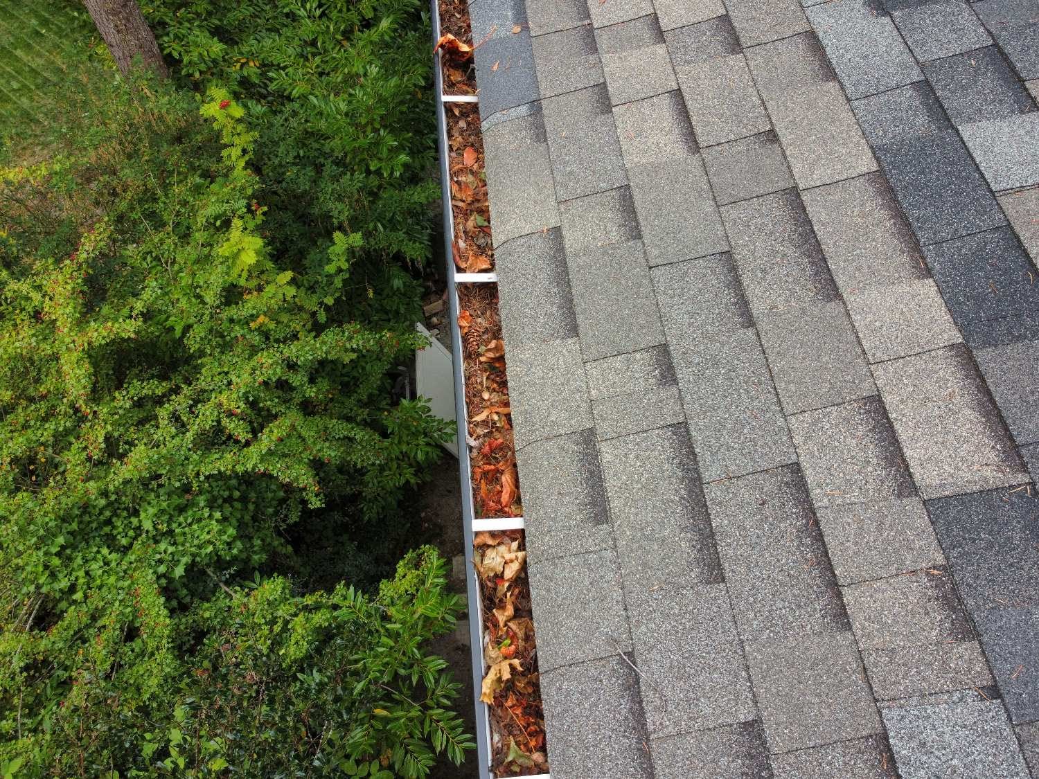Fall Maintenance ~ The Importance Of Cleaning Your Gutters